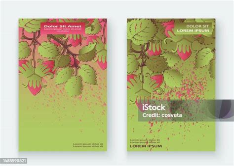 딸기 패턴 디자인 템플릿 제품 손으로 그린 레드 베리 귀여운 트렌디한 어두운 배경에 꽃이 만발한 녹지 덤불 그래픽 일러스트레이션 웨딩 초대장 포스터 카드 표지 제품 벡터 0