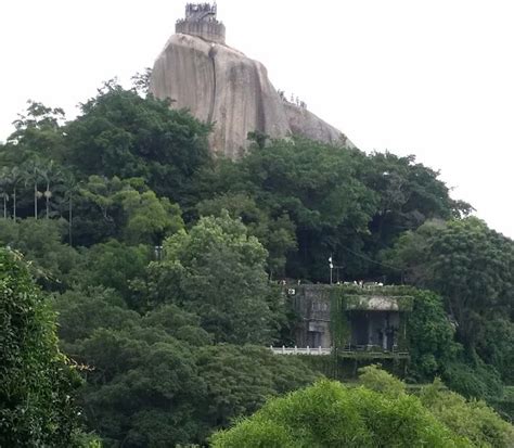 Android Path的使用详解 山大王的博客