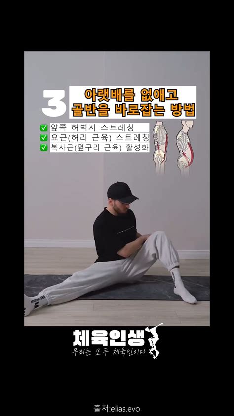 🏋️‍♂️ 체육인생 Your Fitness Motivation 🏃‍♀️ 🔥 아랫배를 쏙 골반을 바로 정렬하는 핵심 운동🔥 운동을 해도 아랫배가 빠지지 않는다면