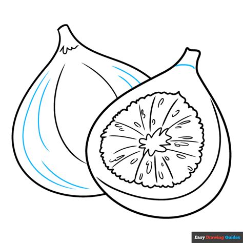 How To Draw A Fig Really Easy Drawing Tutorial