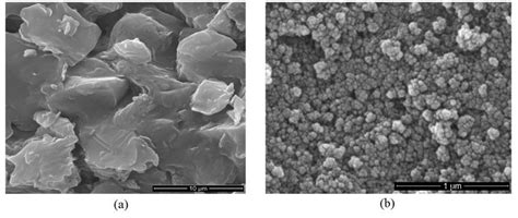 Sem Profiles Of A By A Sio2 And B C Sio2 Particles In Higher