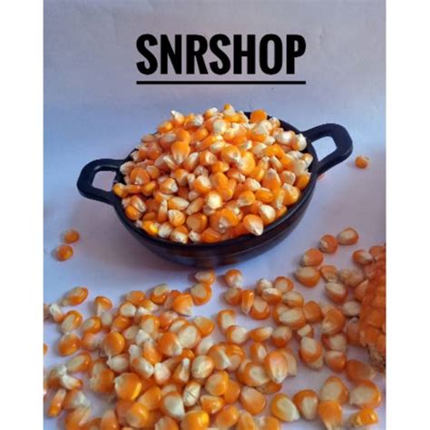 Jual Biji Jagung Kering Properti Foto Shopee Indonesia