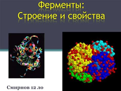Ферменты | PPT