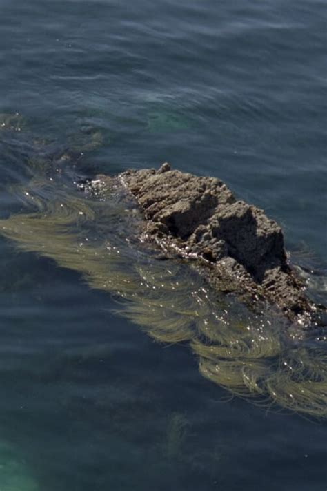 Talamh 2016 — The Movie Database Tmdb