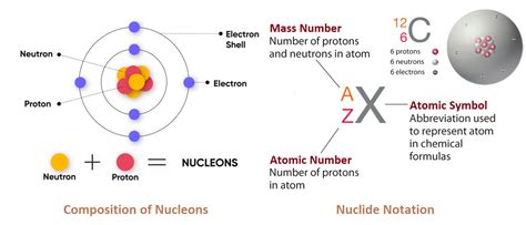 Explain Atomic Number And Mass Number Of Element Chemistry Explain Atomic Number And Mass Number Of Element Chemistry