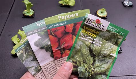 Hydroponic Nutrient Solution A Complete Beginners Guide