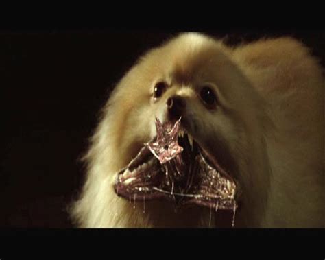 Taliesin Meets The Vampires Blade Trinity Extended Version Review