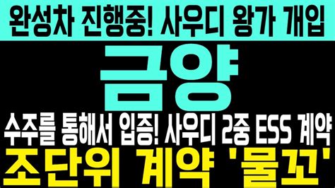 금양 주가전망 🚨단독속보🚨사우디 왕가개입 블록딜 메리츠증권 손바뀜 수주를통한입증 사우디 Ess계약 조단위 계약 물꼬 공급계약 다각화 바닥 진입 세력 의도는