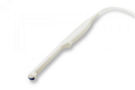 Endocavity Convex Array Transducer 6 5 Mhz Fisaude Store