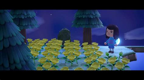 Frisk At The Top Of Mt Ebbot R Undertale