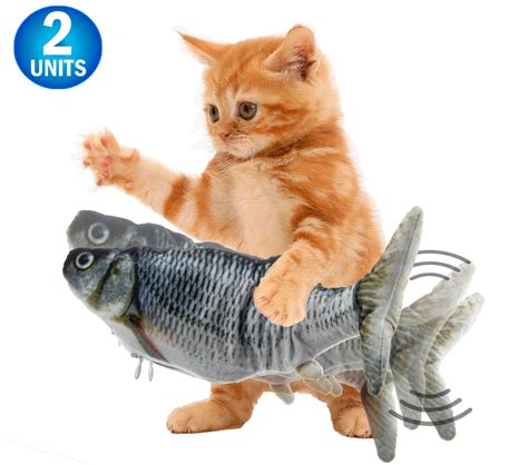 Aquarium Cat Toy At Daniel Pomeroy Blog