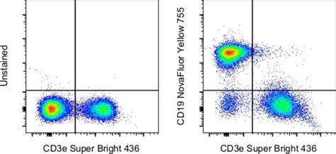Cd19 Monoclonal Antibody Ebio1d3 1d3 Novafluor Yellow 755