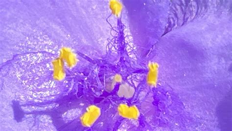 Sex Pistols By Stardust247 On Deviantart