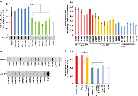 Enhanced Mhtt Aggregation Relative To Mock In Blinded Csf Samples