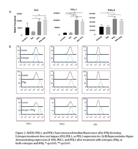 The Effect Of Estrogen And Interferon γ On The Immunobiology Of Minor