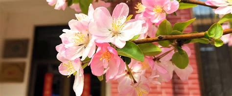 Nature Materials副主编李昕博士做客天津市分子光电科学重点实验室 天津市分子光电科学重点实验室