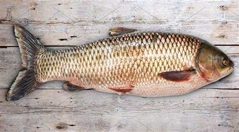 Grass Carp Fish Grass Carp Fish On Old Wooden Background High
