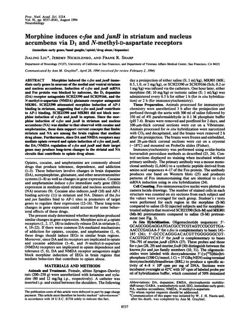 Morphine Induces C Fos And Junb In Striatum And Nucleus Accumbens Via