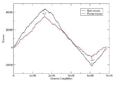 Wavelet Transformation Analysis Exemplified By The Chromosome Of S