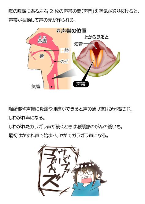 配置薬 置き薬 医薬品 健康食品は岐阜県の宮島薬品株式会社