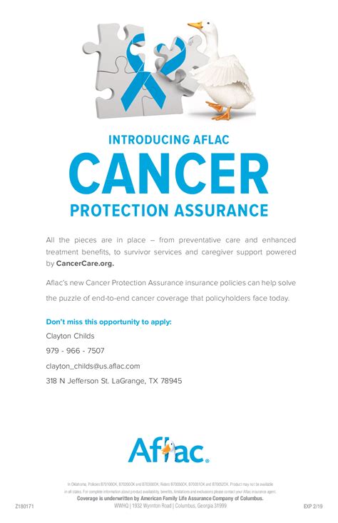 Aflac Supplemental Insurance Cost Financial Report