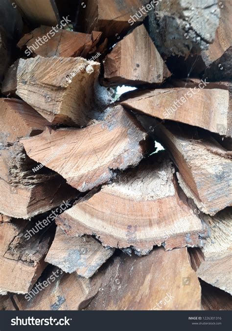 Cross Section Tree Stock Photo 1226301316 Shutterstock