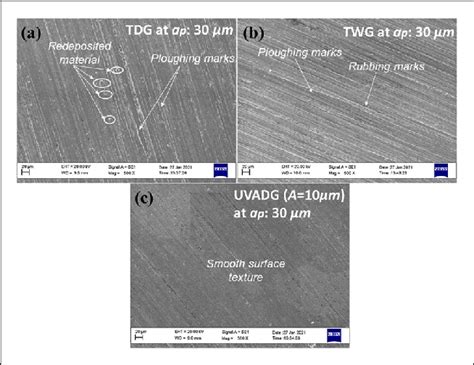 Scanning Electron Microscopy Sem Micrographs Under Different Grinding Download Scientific