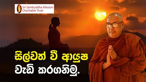 සිල්වත් වී ආයුෂ වැඩි කරගනිමු Youtube