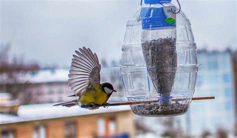 Как из бутылки сделать кормушку своими руками