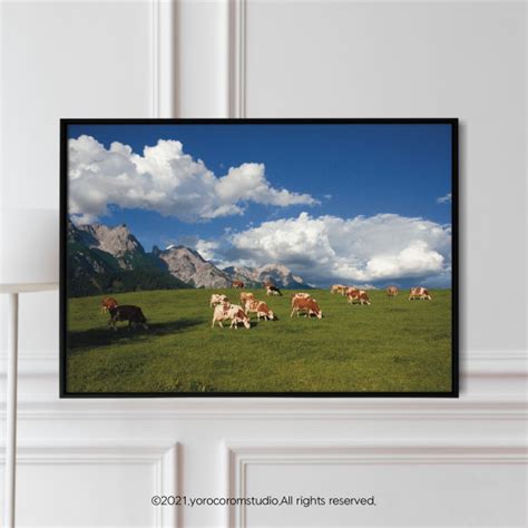 요로코롬스튜디오 Grassland Add 빈티지감성 초원 목장 포스터 액자 풍경 자연 사진포스터 위시버킷