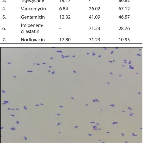 Detection Of Multidrug Resistance Isolates Download Scientific Diagram