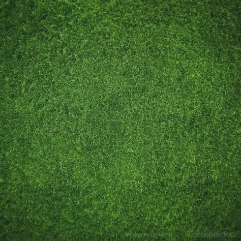 Página 19 Imágenes De Pasto De Futbol Descarga Gratuita En Freepik