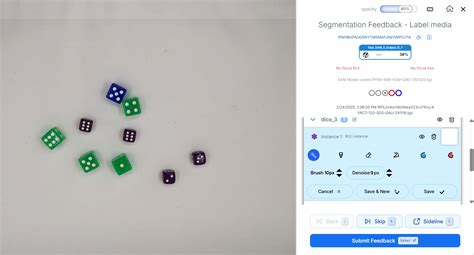Segmentation Application
