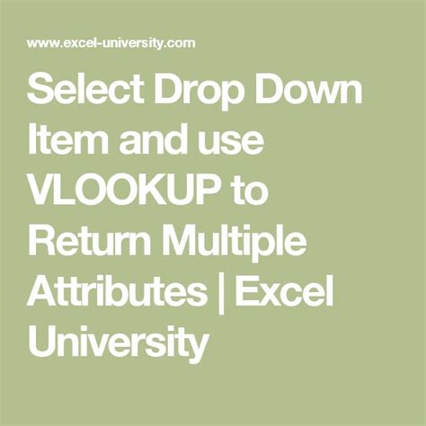 Select Drop Down Item And Use Vlookup To Return Multiple Attributes