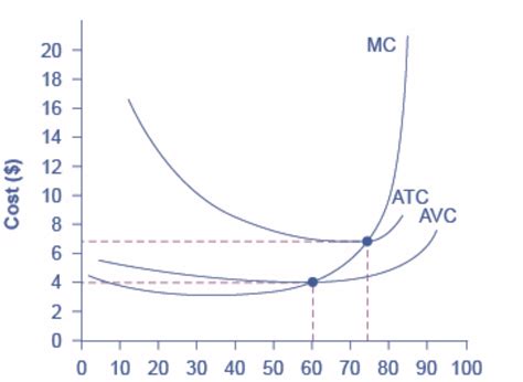Solved Redraw This Graph Of Cost Curves On A Separate Sheet Of Paper