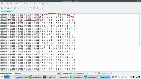 Wget Fails To Download In Batch Downloader · Issue 176 · Mhogomchungumedia Downloader · Github
