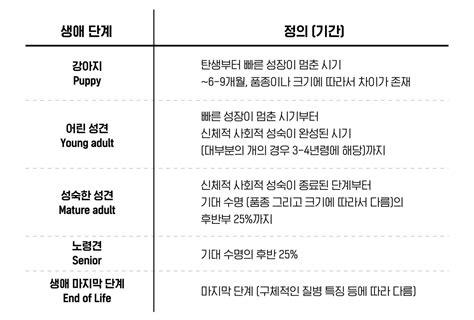 나이 먹고 아프고반려견도 생애주기별로 관리해야 한다 어떻게 스프