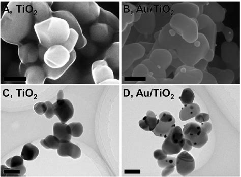 SEM A And B And TEM C And D Images Of TiO And Au TiO The Scale Download Scientific