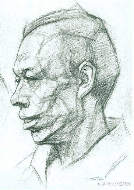 素描头像结构体块肌肉头骨 知乎