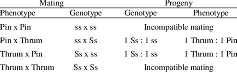 Heteromorphic Sporophytic Self Incompatibility Download Scientific Diagram