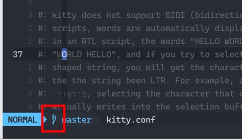 Kitty Cannot Display Nerd Font Character For Git Branch Issue 5424 Kovidgoyal Kitty GitHub