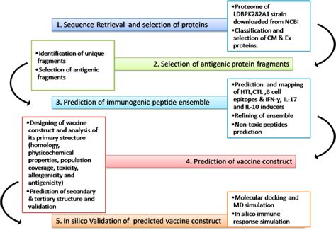 schematic representation of the workflow download scientific diagram