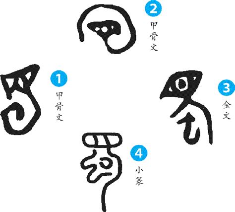 汉字“蜀”的起源、演变过程 汉字字源辞典