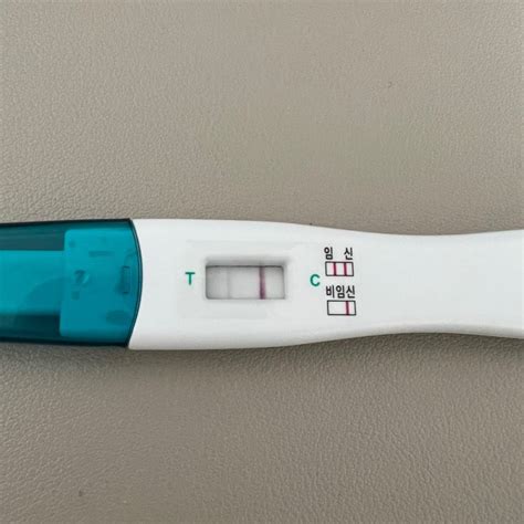 임신시도6 배란초음파배란테스트임신테스트착상혈 네이버 블로그