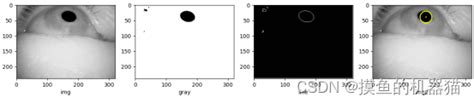Opencv 十五 红外图像中虹膜的提取 Csdn博客