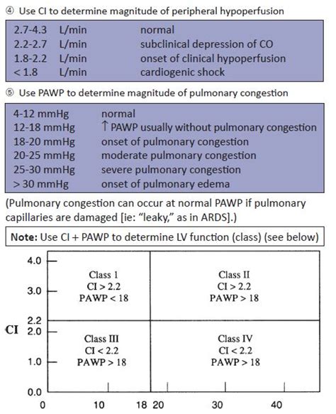 Hemodynamic Classification Based On Invasive Monitoring