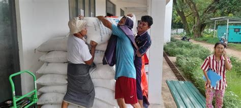 ကော့ကရိတ်မြို့တွင် သဘာဝဘေးကြောင့်ပျက်စီးသွားသည့် မိုးစပါး၊ စိုက်ခင