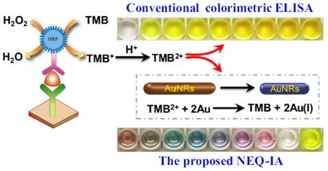 Clinical Applications Of Visual Plasmonic Colorimetric Sensing