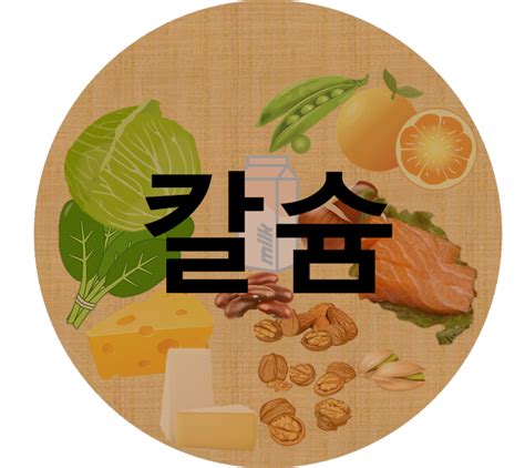 칼슘의 기능과 역할 비타민d와의 관계 골다공증과 삶의 질 총정리
