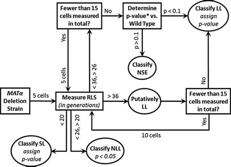 1 Flow Diagram Illustrating The Iterative Approach For Identifying Download Scientific Diagram